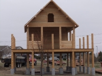 Action Log Homes
