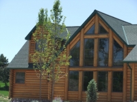Action Log Homes