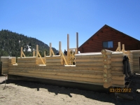 Action Log Homes